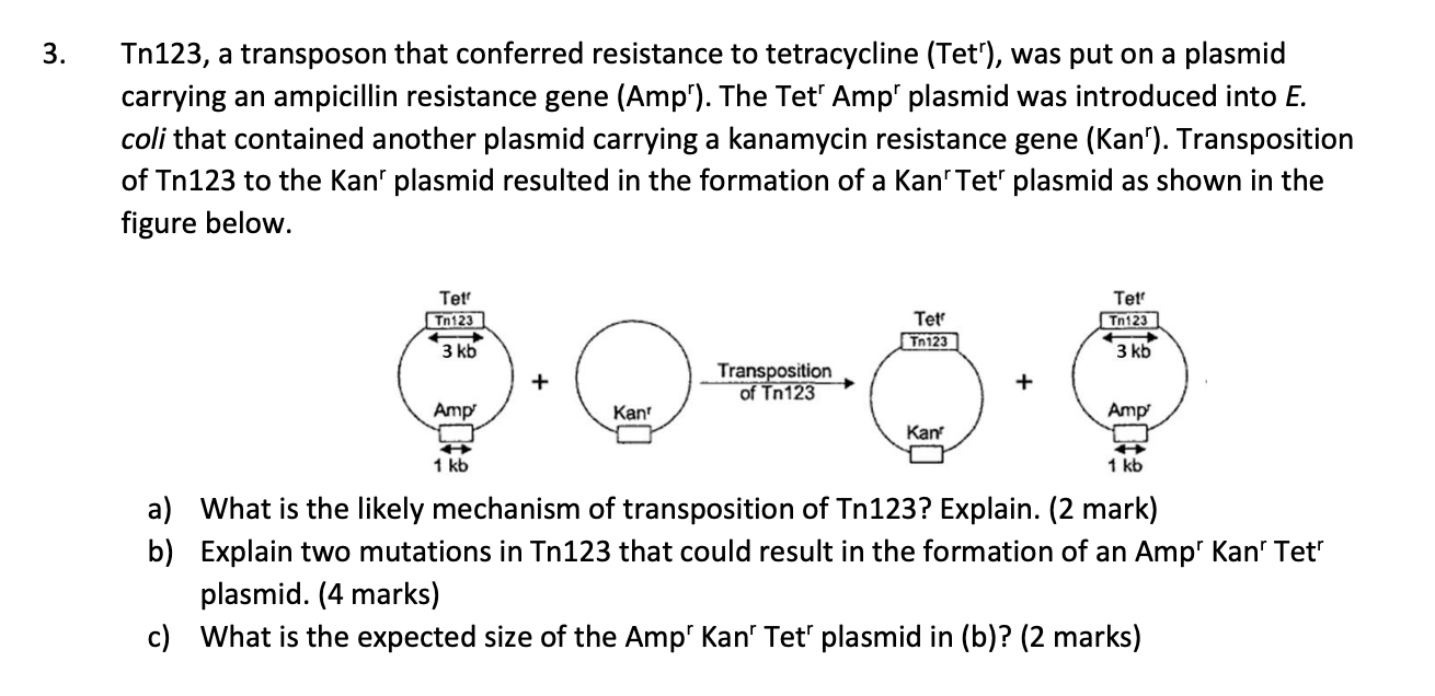 Solved Tn123, a transposon that conferred resistance to | Chegg.com