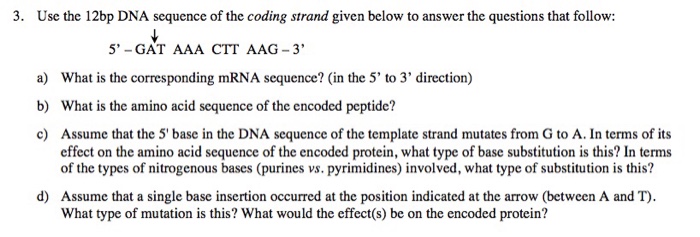 Solved 3. Use the 12bp DNA sequence of the coding strand | Chegg.com