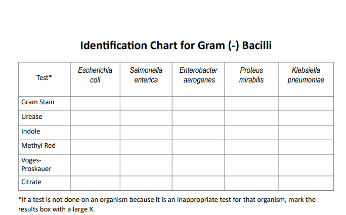 Solved Identification Chart for Gram (-) Bacilli Test* | Chegg.com