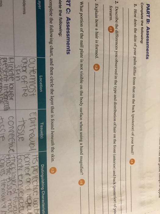 Solved PART B: Assessments Complete the following: 1. How | Chegg.com