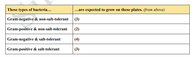 Solved Blood agar plate (BAP), Eosin Methylene Blue (EMB), | Chegg.com