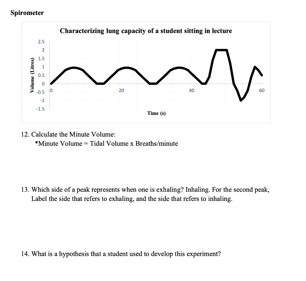 Solved Spirometer 12. Calculate the Minute Volume: *Minute | Chegg.com