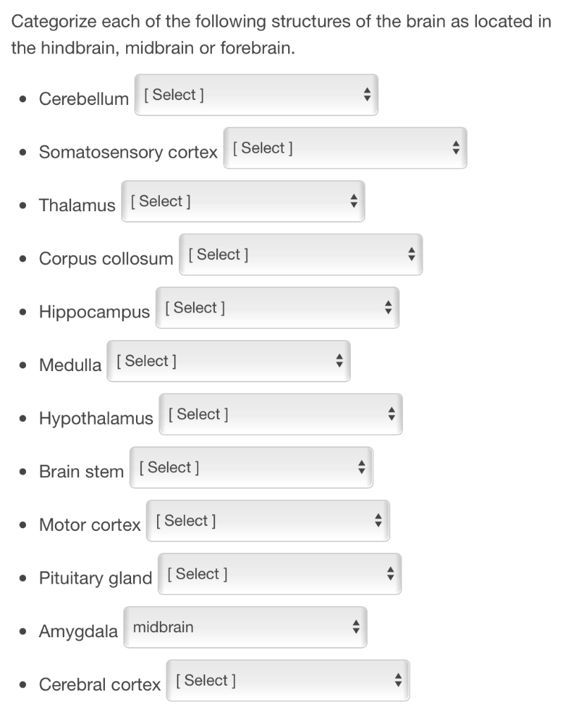 Solved Categorize each of the following structures of the | Chegg.com