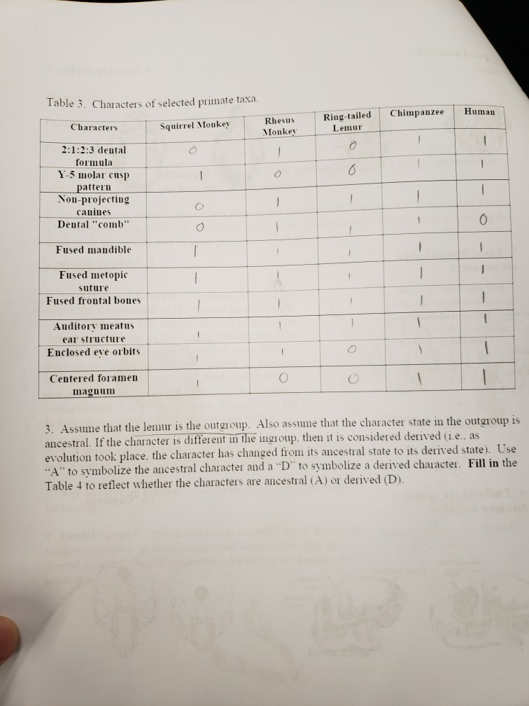 Solved Table 3. Characters of selected primate taxa. | Chegg.com