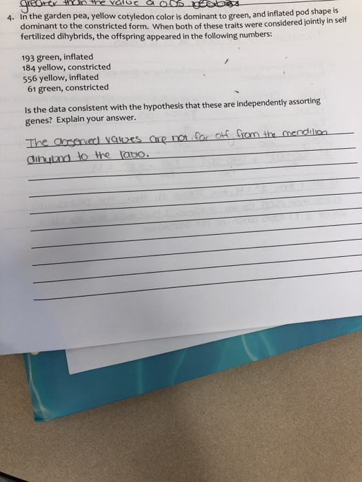 Solved gredn.cv 4. In the garden pea, yellow cotyledon color | Chegg.com