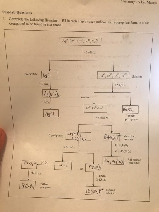 Solved Write a balanced net ionic equation for each reaction | Chegg.com