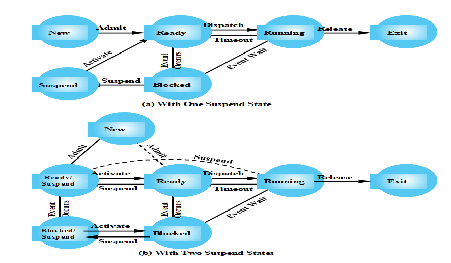 Solved This figure contains seven states. In principles, one | Chegg.com