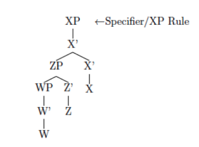 Solved 1. In the X-bar structure below, label each node | Chegg.com