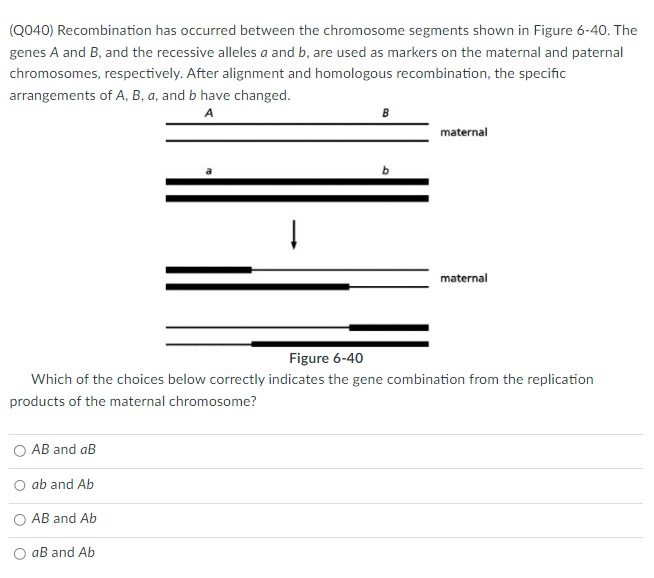 Solved (Q040) Recombination has occurred between the | Chegg.com
