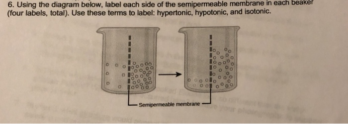 Solved 6. Using the diagram below, label each side of the | Chegg.com