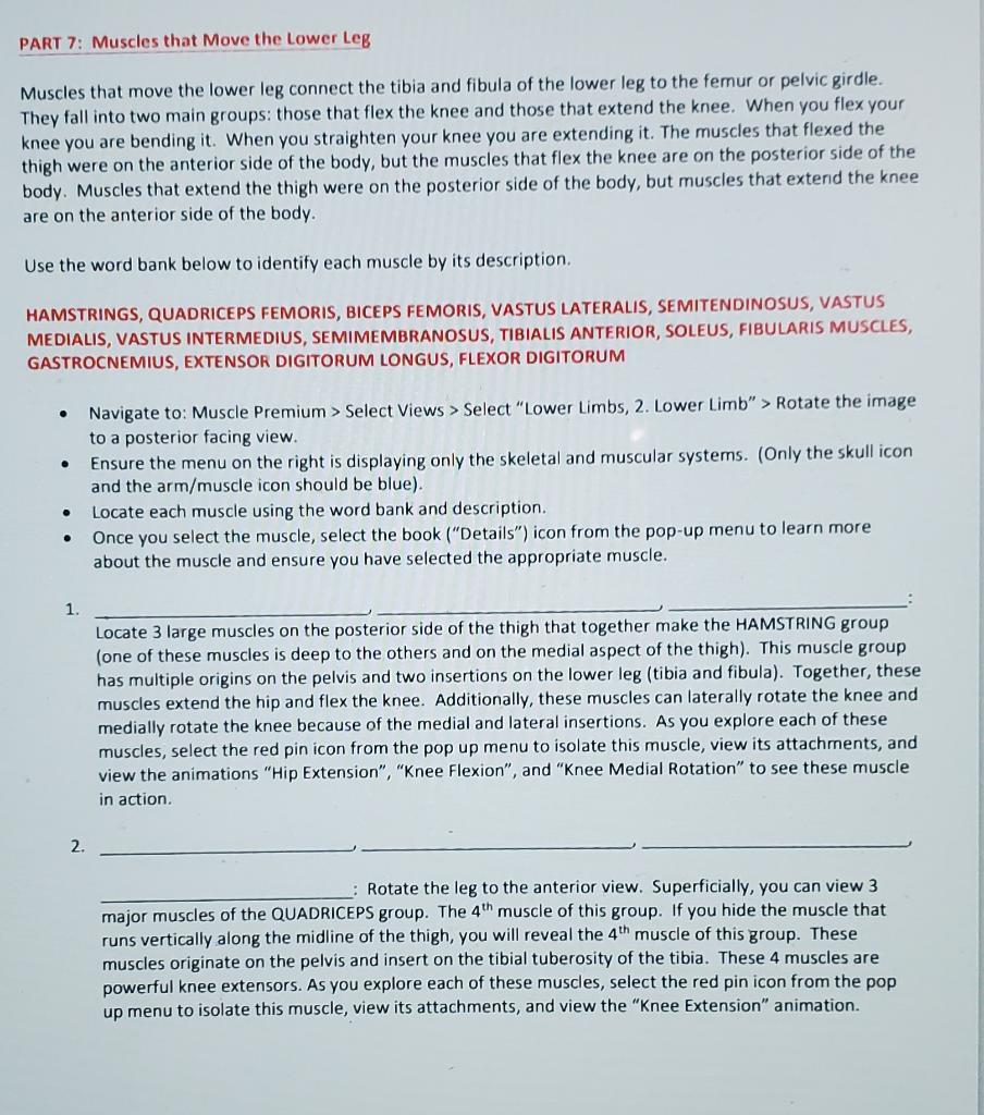 Solved PART 7: Muscles that Move the Lower Leg Muscles that | Chegg.com