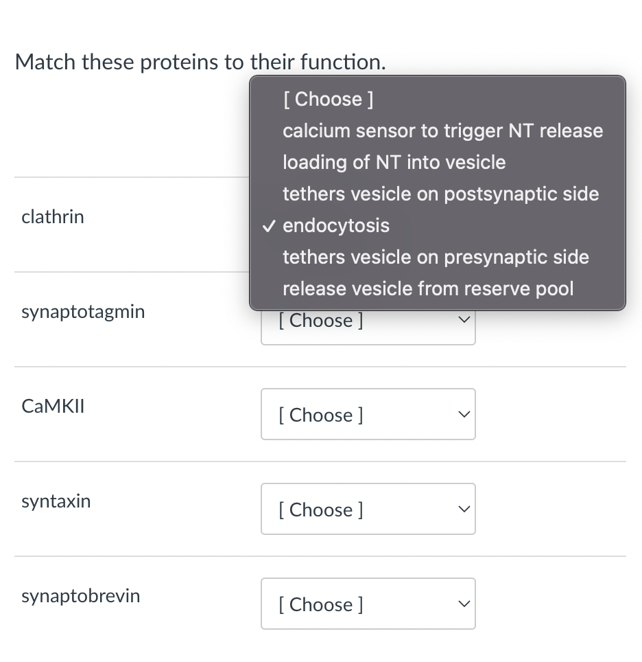 Solved Match these proteins to their function. | Chegg.com