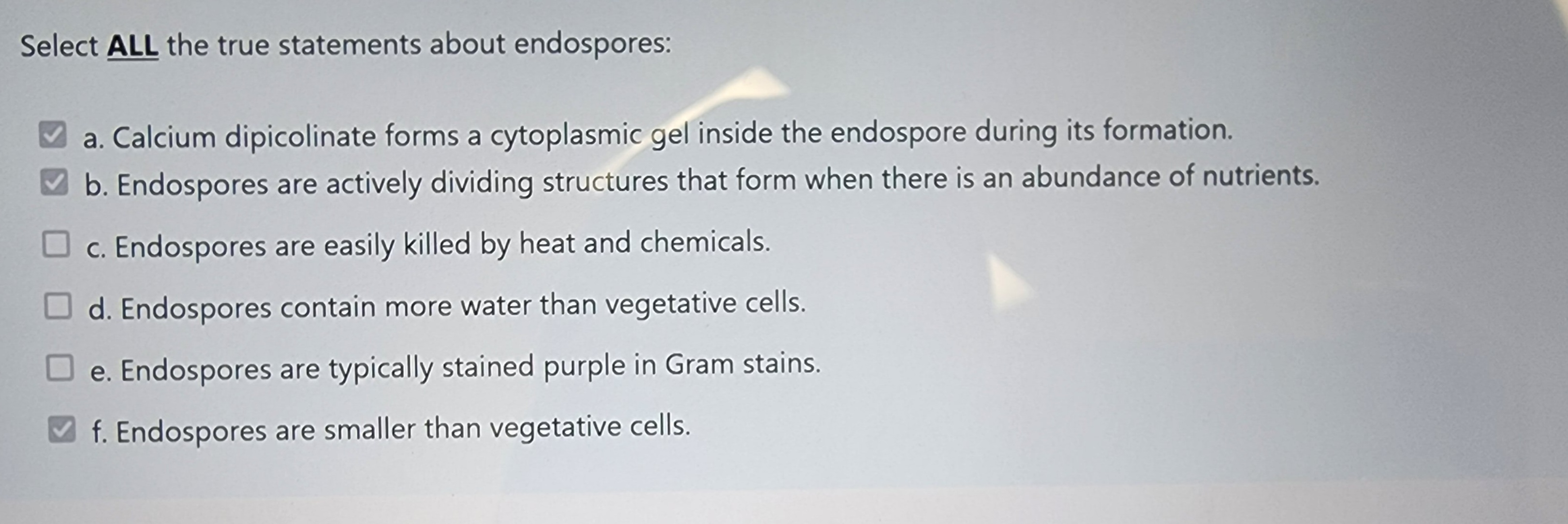 Solved What external structure on the endospore forms a | Chegg.com