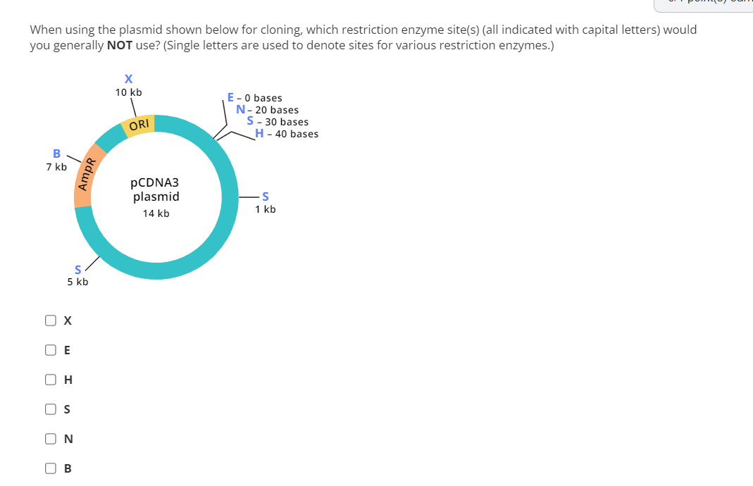 Solved When using the plasmid shown below for cloning, which | Chegg.com
