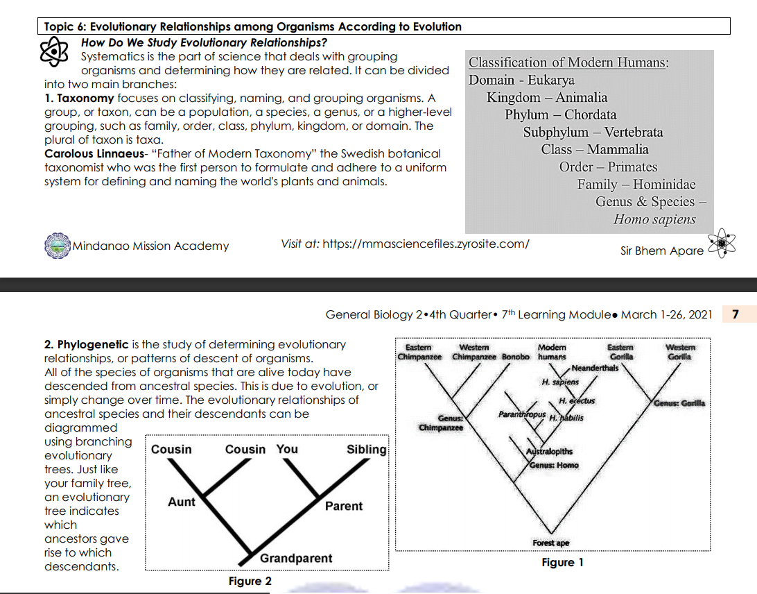 Activity 7.6: The Evolutionary Relationships (page 7) | Chegg.com