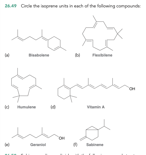 Isoprene Units