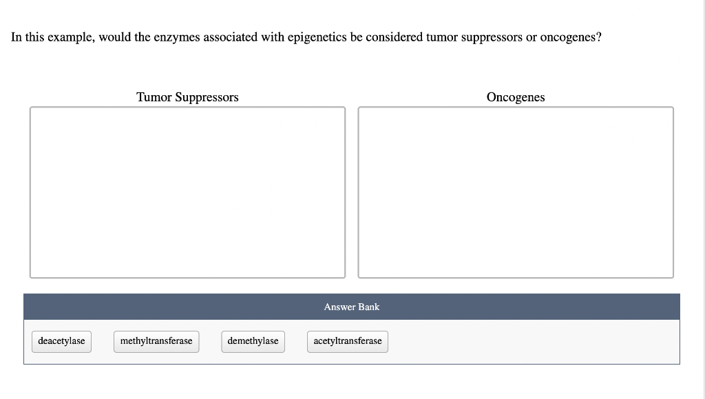 Solved David Seligson and his colleagues examined levels of | Chegg.com
