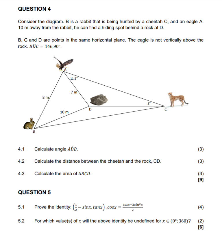 Solved QUESTION 4 Consider the diagram. B is a rabbit that | Chegg.com
