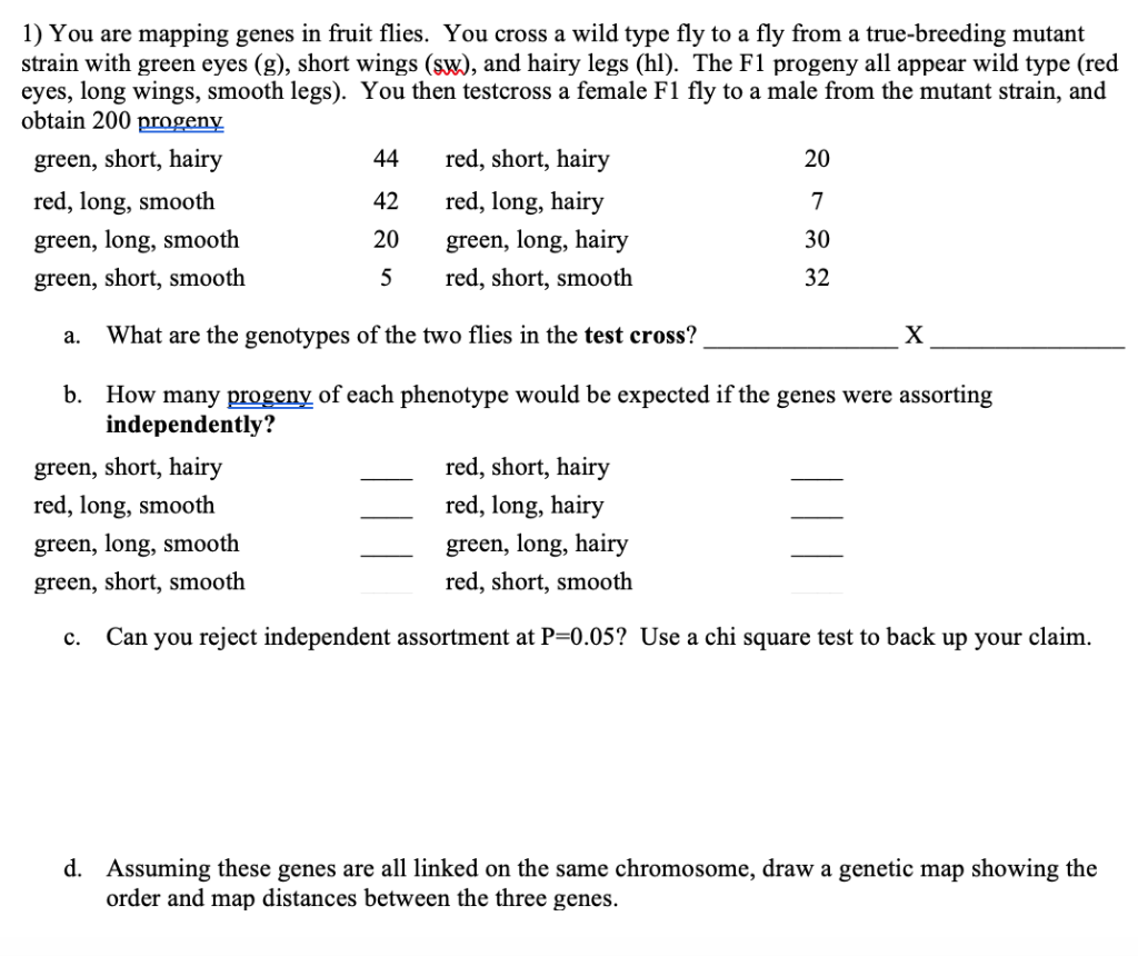 Solved 1) You are mapping genes in fruit flies. You cross a | Chegg.com