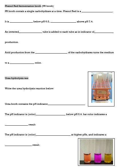 Solved Phenol Red fermentation broth (PR broth) PR broth | Chegg.com