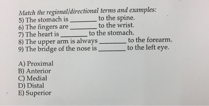 Solved Match the regional/directional terms and examples: 5) | Chegg.com