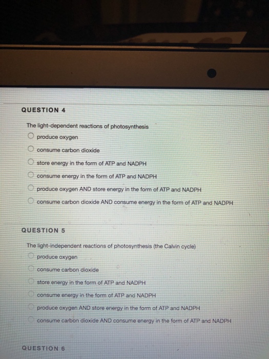 Solved QUESTION 4 The light-dependent reactions of | Chegg.com