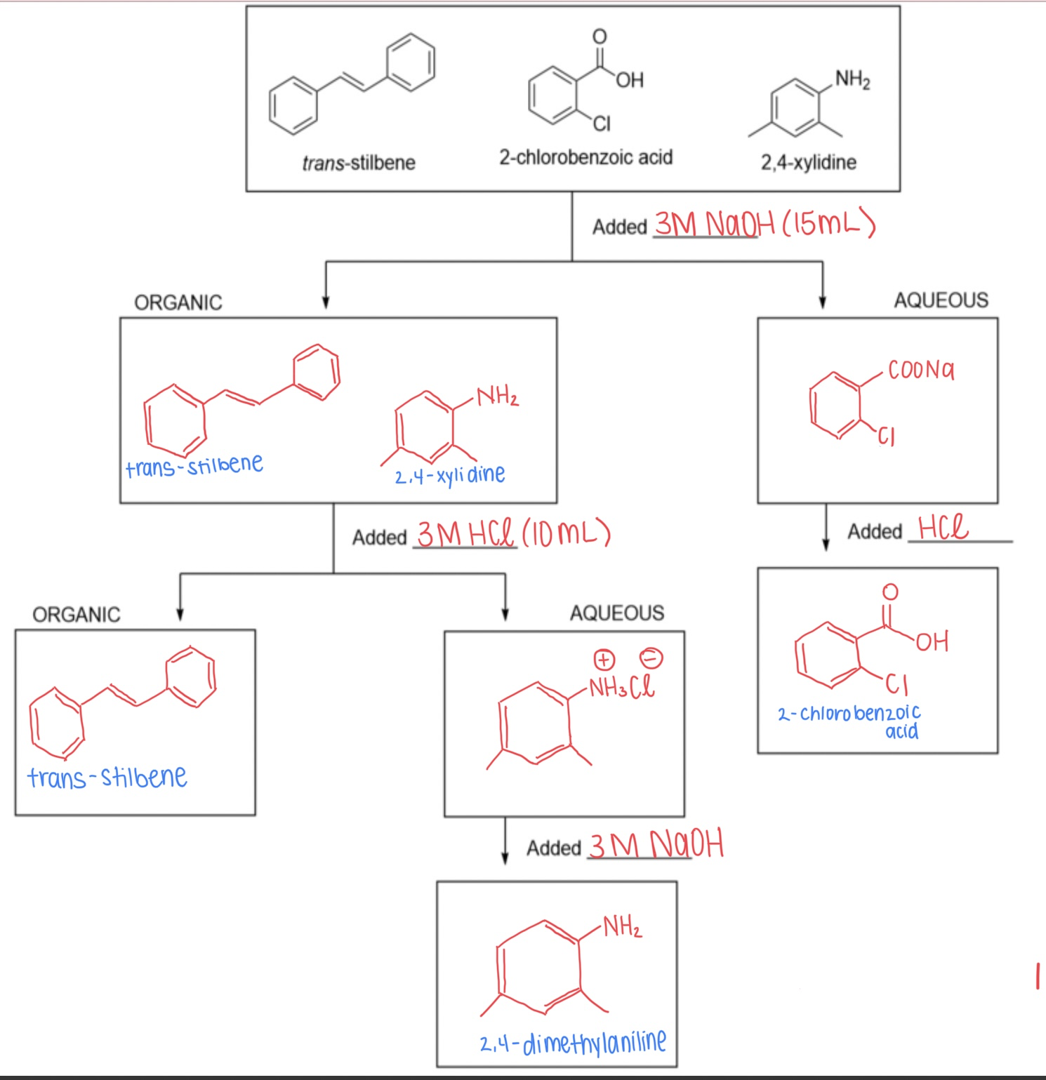 Solved Draw the mechanism for ONE of the acid/base reactions | Chegg.com