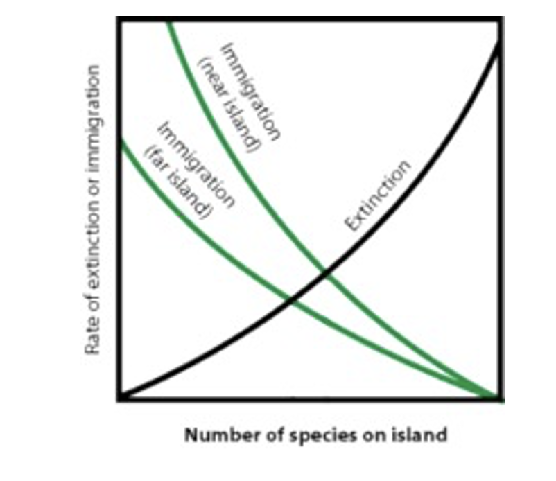 Solved Meta2) (2 ﻿pts) ﻿The plot to the right illustrates | Chegg.com
