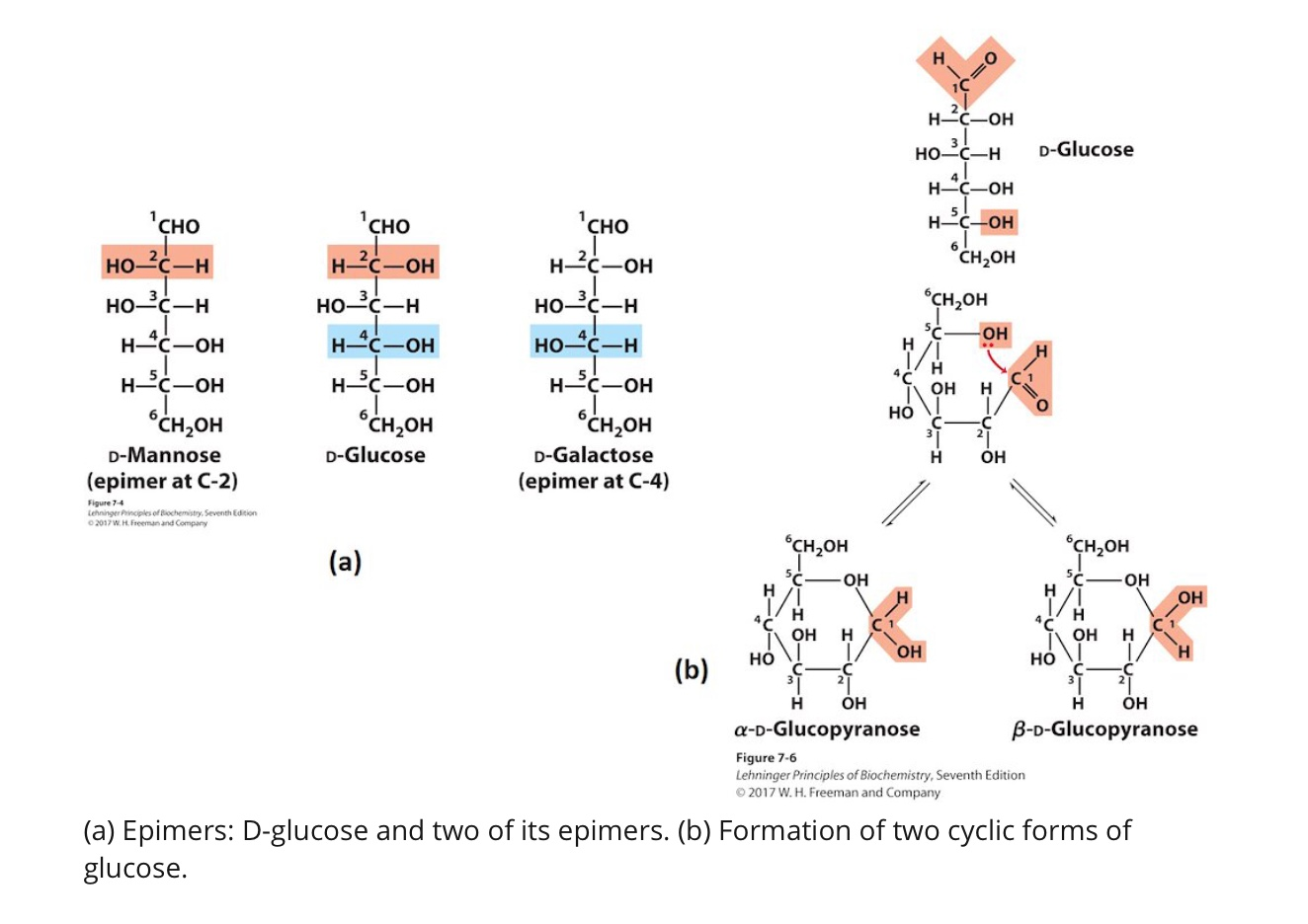 Solved 1. Indicate whether each of the following pairs of | Chegg.com