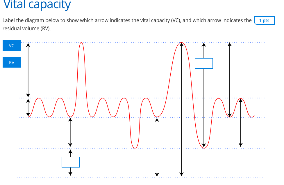 Solved Vital capacity 1 pts Label the diagram below to show | Chegg.com