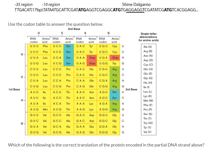 solved-this-partial-non-template-dna-strand-has-all-the-chegg
