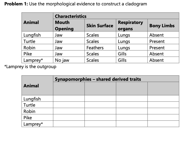 Solved Problem 1: Use the morphological evidence to | Chegg.com