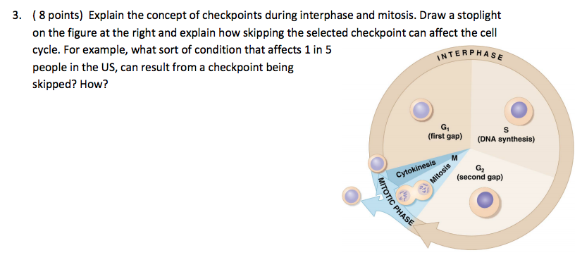 Solved 3. (8 points) Explain the concept of checkpoints | Chegg.com