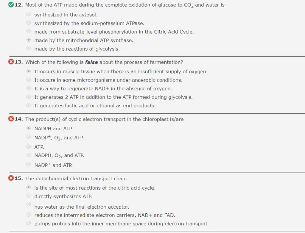 Solved 12. Most of the ATP made during the complete | Chegg.com