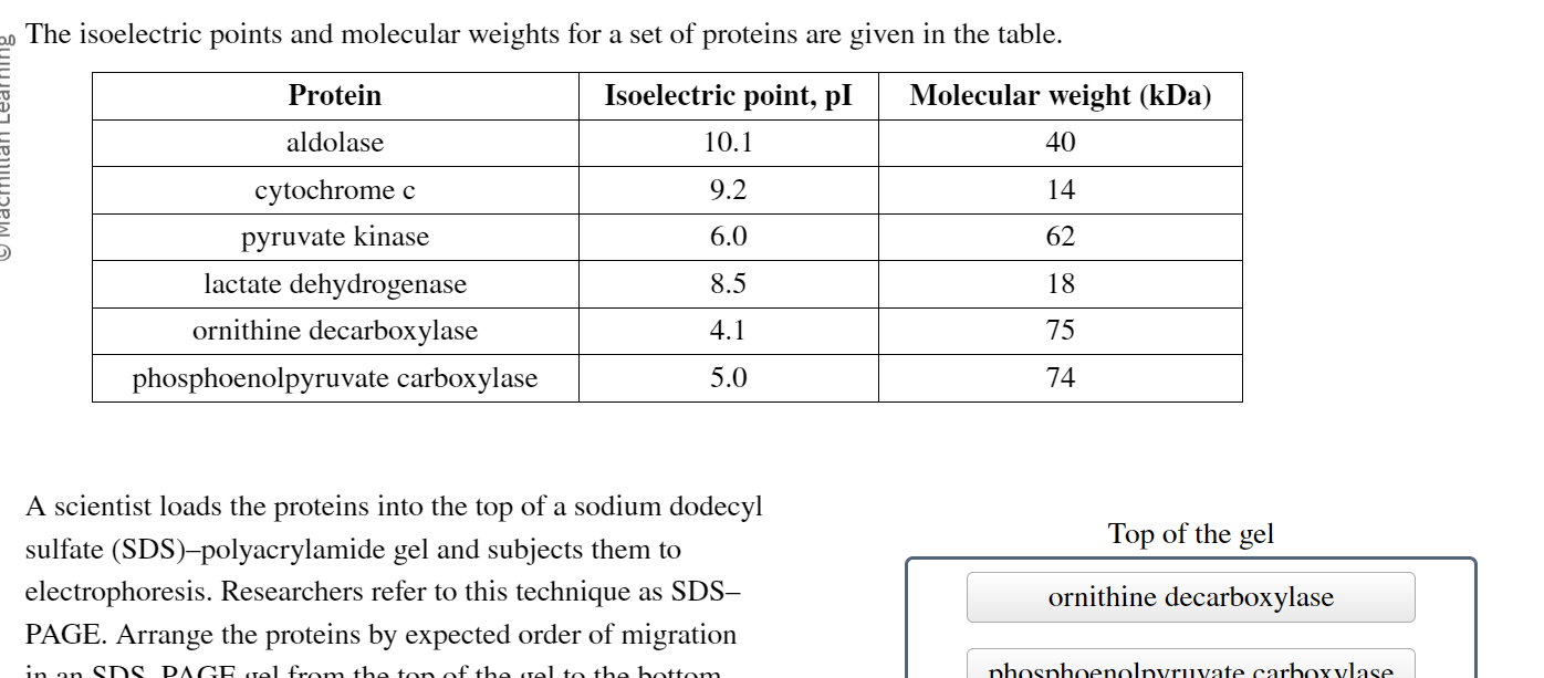 Solved The isoelectric points and molecular weights for a | Chegg.com