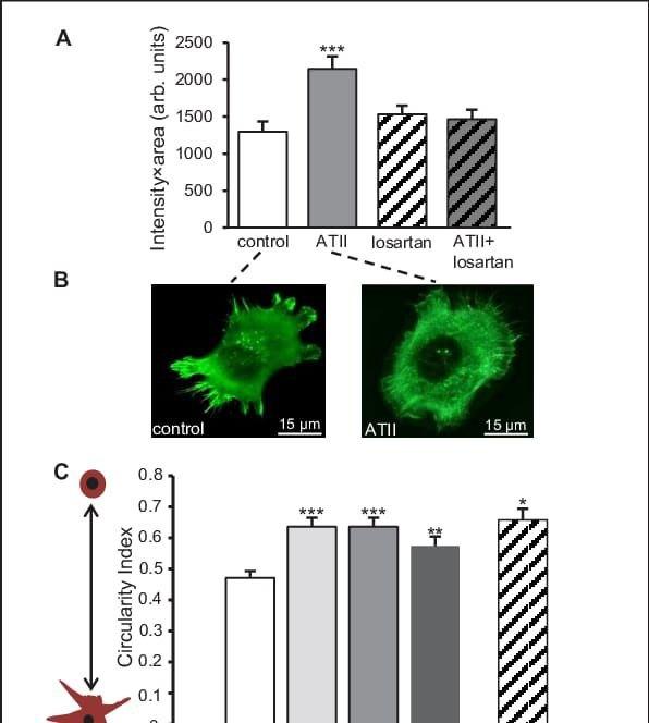 A 2500 *** T 2000 1500 Intensity area (arb. units) | Chegg.com