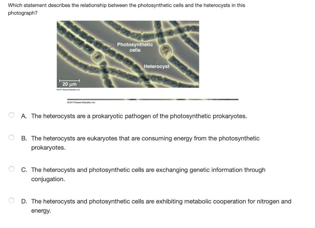 Solved Which statement describes the relationship between | Chegg.com