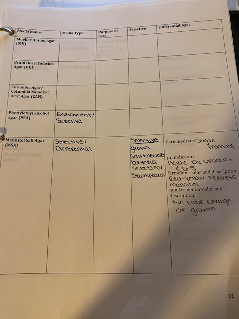 Media Names Media Type and Lab Session 1: Culture | Chegg.com