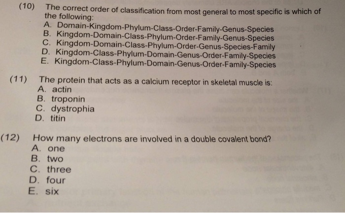 Solved (10) Th e correct order of classification from most | Chegg.com