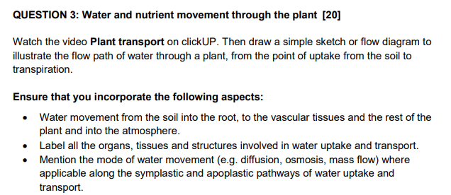 Solved QUESTION 3: Water and nutrient movement through the | Chegg.com