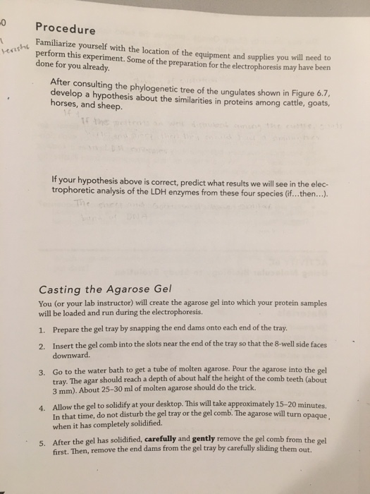 Solved Procedure In this activity, you will learn to access | Chegg.com