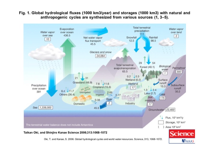 Solved calculate the following. The runoff ratio for the | Chegg.com