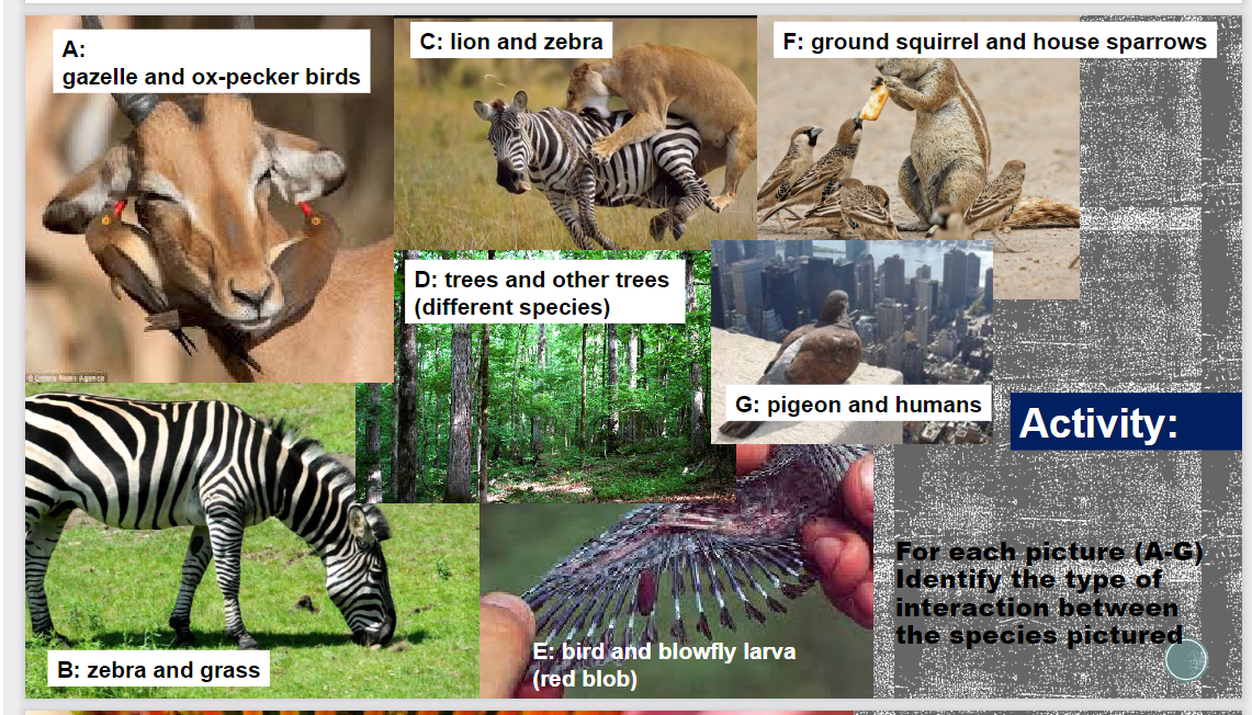 Solved Interaction Type Mutualism Commensalism | Chegg.com