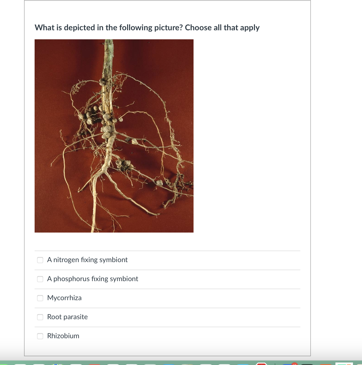 Solved What is depicted in the following picture? Choose all | Chegg.com