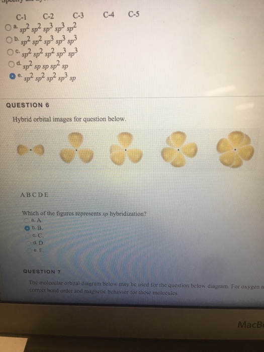 Solved Hybrid orbital images for question below. Which of | Chegg.com