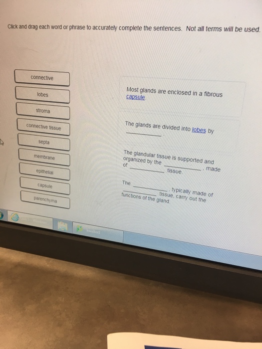 Solved Click and drag each word or phrase to accurately | Chegg.com