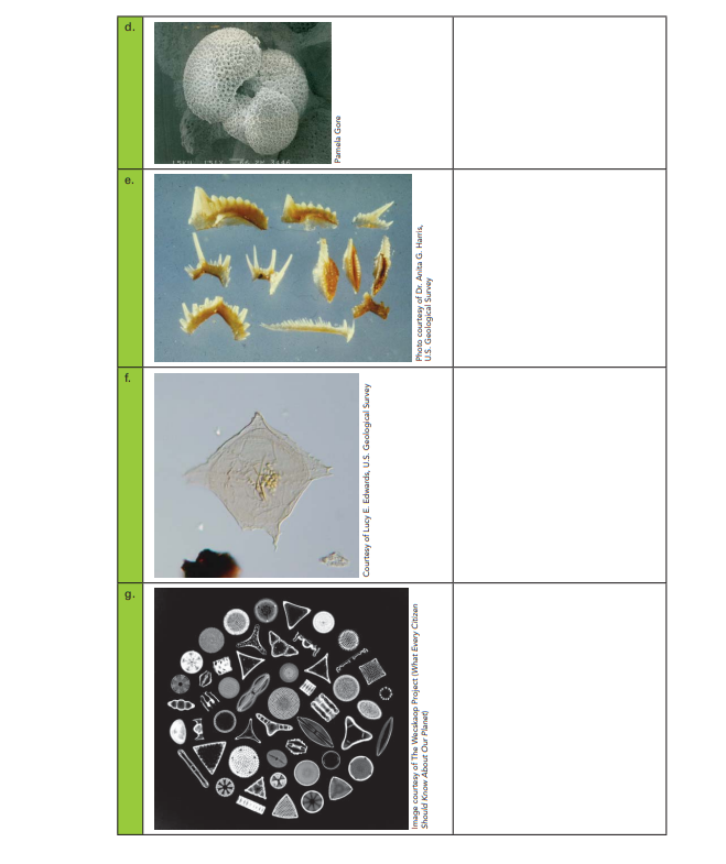 Solved 1a.i | Chegg.com
