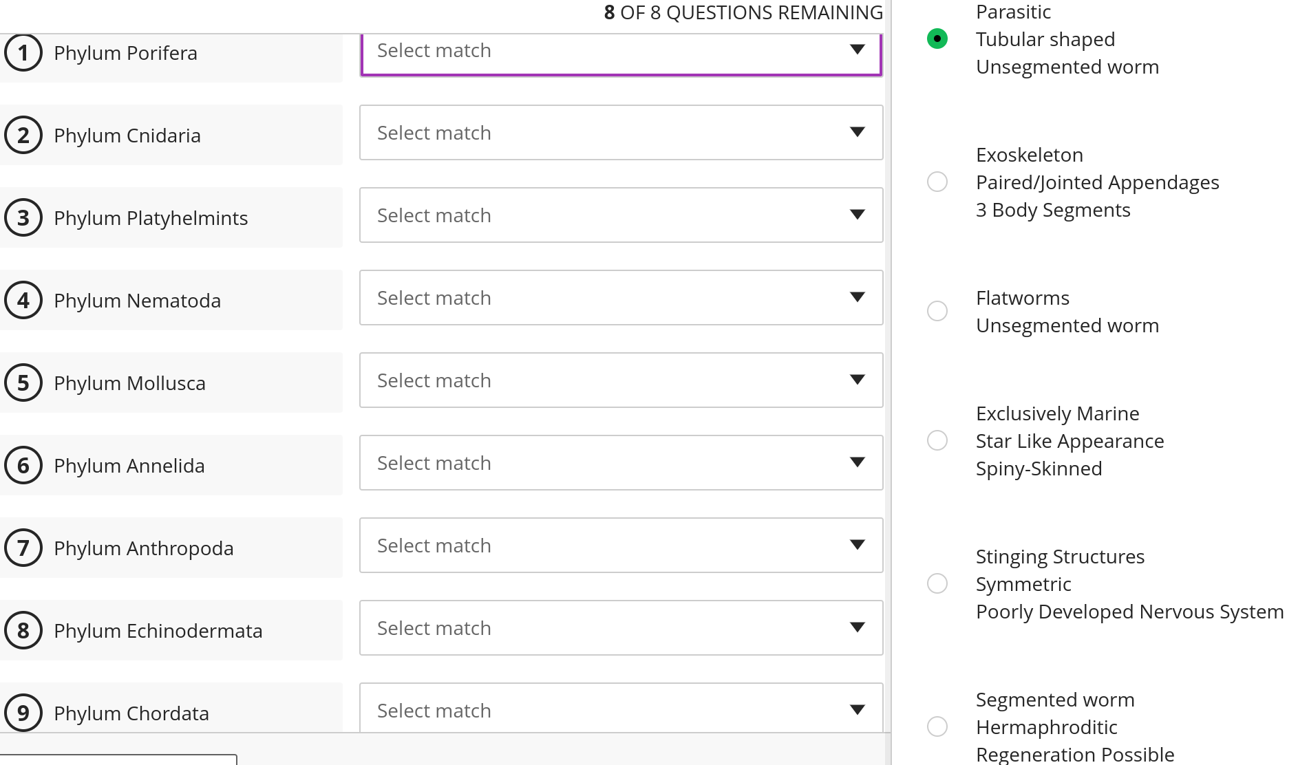 Solved (1) ﻿Phylum Porifera(2) ﻿Phylum Cnidaria(3) ﻿Phylum | Chegg.com