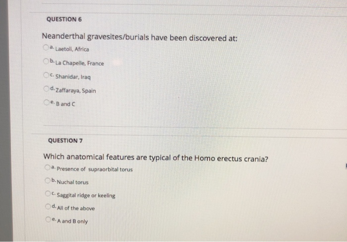 Solved Because The Ethiopian Fossil Ardipithecus Ramidus Or