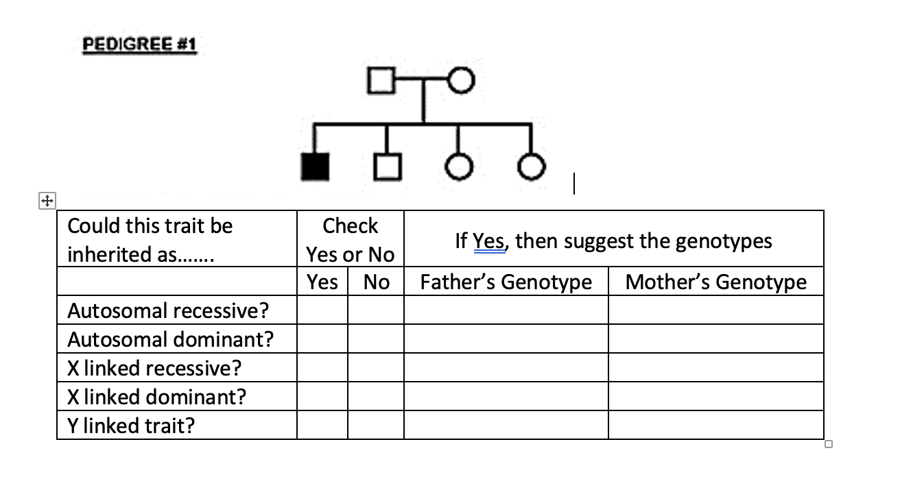 Solved Key to pedigree Key to alleles charts D= dominant | Chegg.com